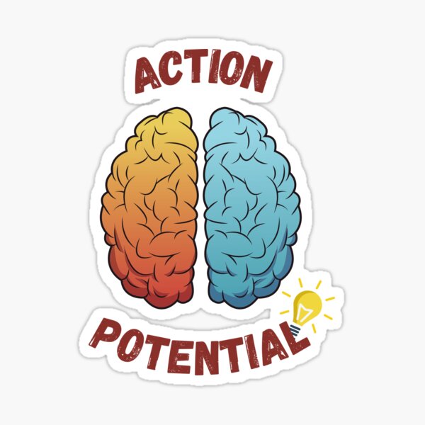 "Action potential" Sticker for Sale by Voraphan | Redbubble