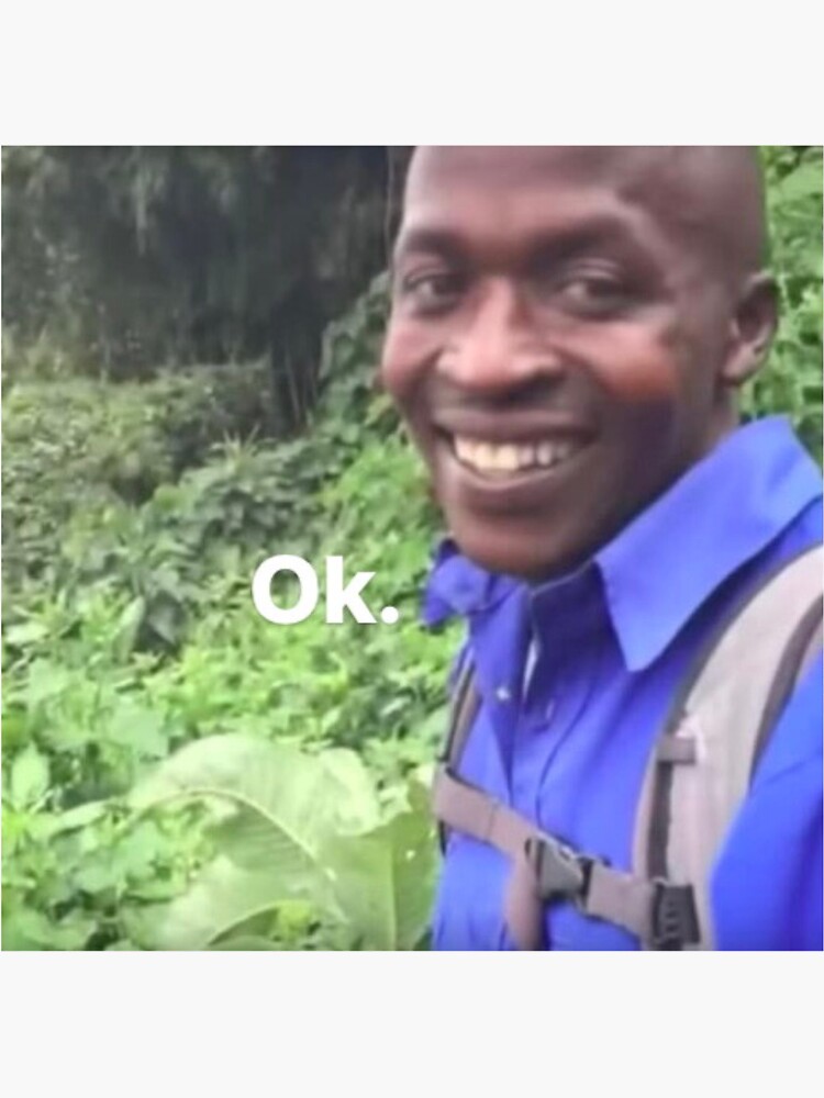 "Ok meme" Sticker by jo2789 | Redbubble