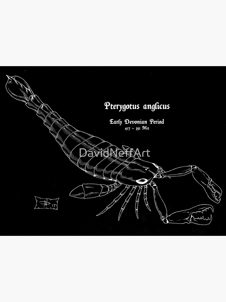 "Pterygotus anglicus" Sticker by DavidNeffArt | Redbubble