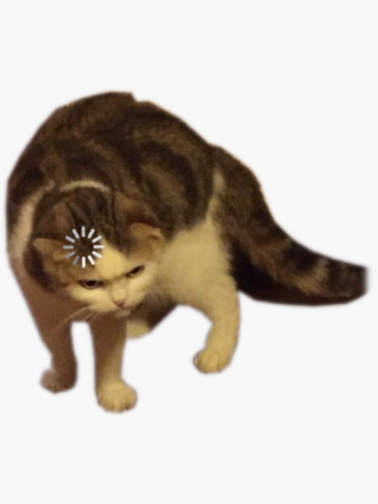 "Loading cat meme" Sticker for Sale by Kimi060 | Redbubble