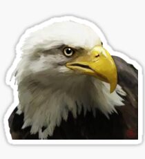Bald Eagle: Stickers | Redbubble