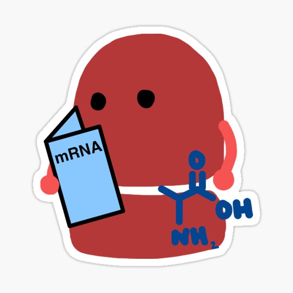 "Ribosome" Sticker for Sale by MalToast | Redbubble