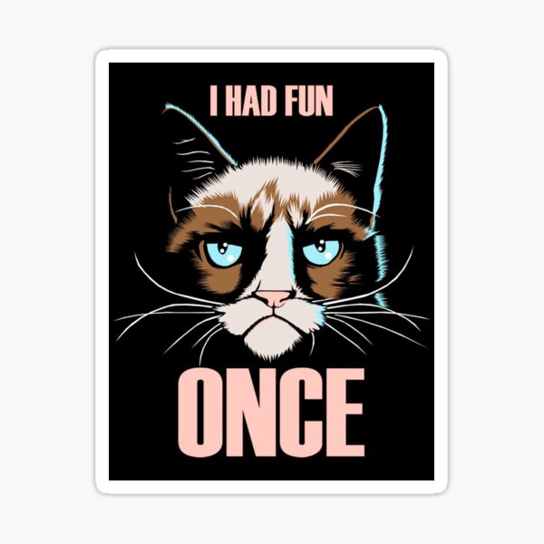"I Had Fun Once" Sticker for Sale by btkrealm | Redbubble