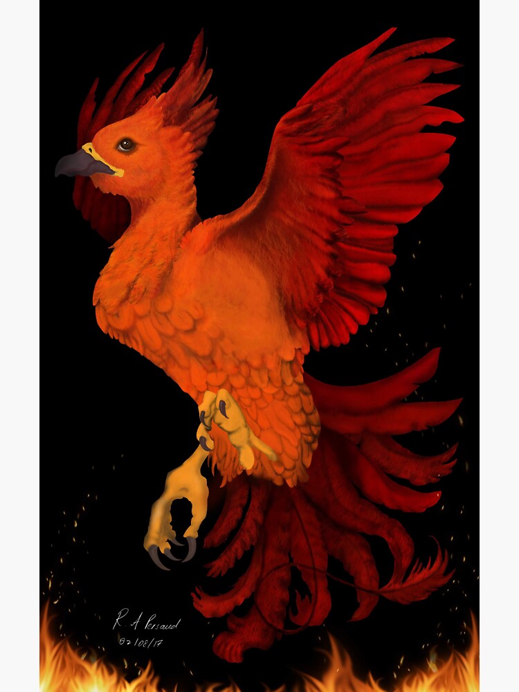 "Fawkes the Phoenix " Sticker for Sale by StuffByNukart | Redbubble