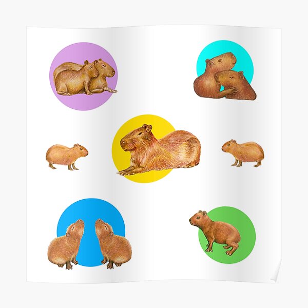 "Capybara Pop" Poster by umasharda | Redbubble