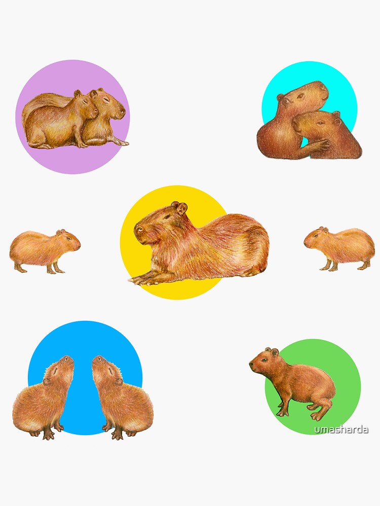 "Capybara Pop" Sticker for Sale by umasharda | Redbubble
