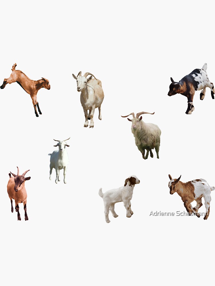 "Goats Sticker Sheet" Sticker for Sale by adrienne-makes | Redbubble