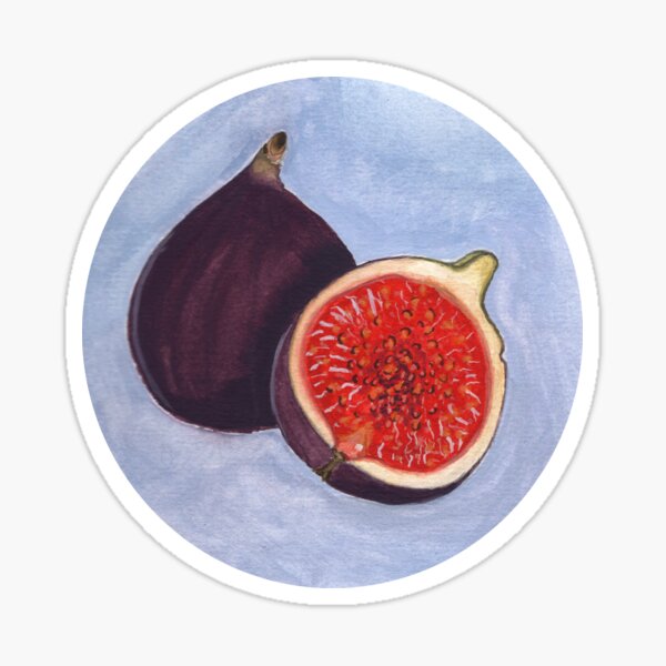 "Figs illustration" Sticker by RedRoseSkull | Redbubble
