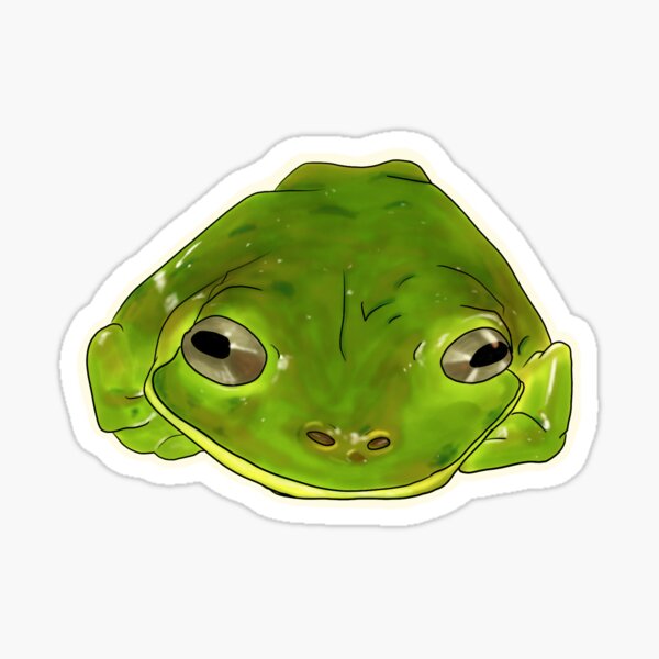 "Frog Face" Sticker for Sale by styxal | Redbubble