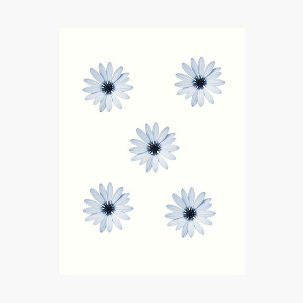 "Blue Flower Bouquet Aesthetic Sticker Pack" Art Print for Sale by ...