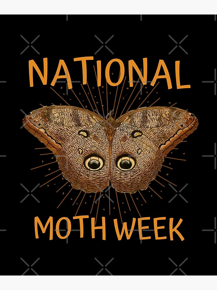 "National Moth Week" Poster for Sale by Destine99 | Redbubble