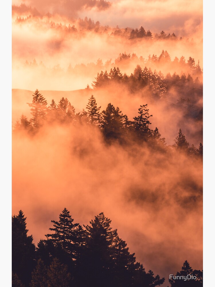 "The Fog" Sticker for Sale by FunnyDio | Redbubble