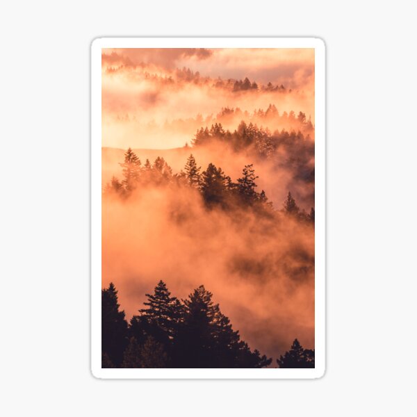 "The Fog" Sticker for Sale by FunnyDio | Redbubble
