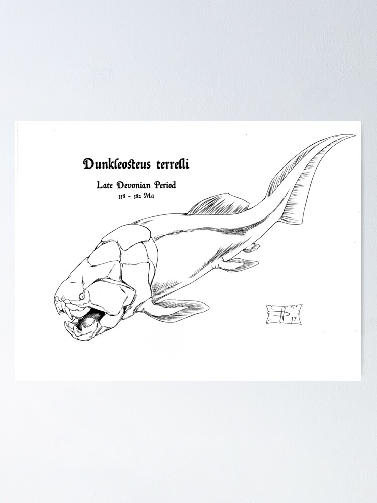 "Dunkleosteus terrelli" Poster for Sale by DavidNeffArt | Redbubble