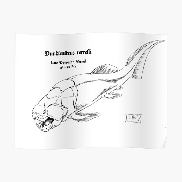 "Dunkleosteus terrelli" Poster for Sale by DavidNeffArt | Redbubble
