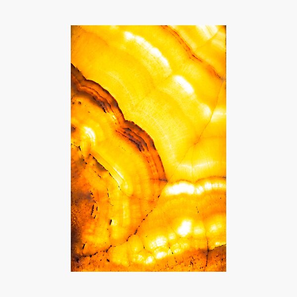 Lámina fotográfica «Detalle arquitectónico de una hoja de piedra de ...