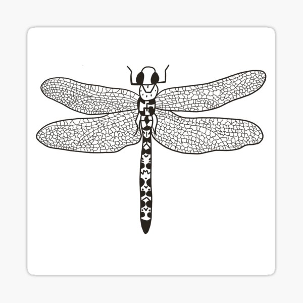 "Dragonfly - Engraving style" Sticker by theBe1azi | Redbubble