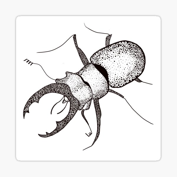 "Stippled stag beetle insect" Sticker for Sale by theBe1azi | Redbubble