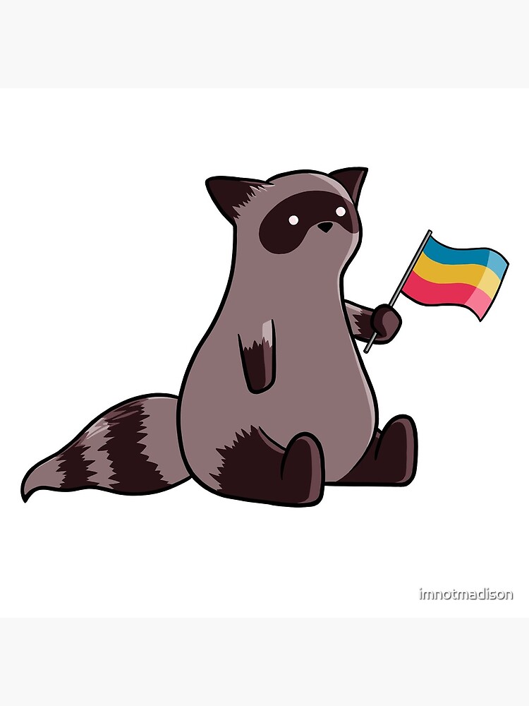 "Pan Pride Raccoon" Poster by imnotmadison | Redbubble