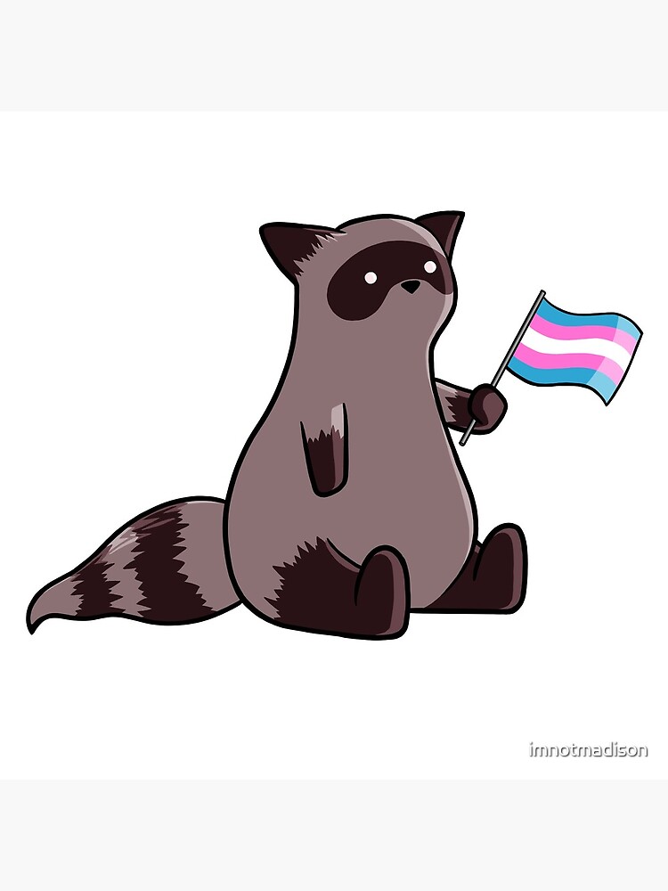 "Trans Pride Raccoon" Poster for Sale by imnotmadison | Redbubble