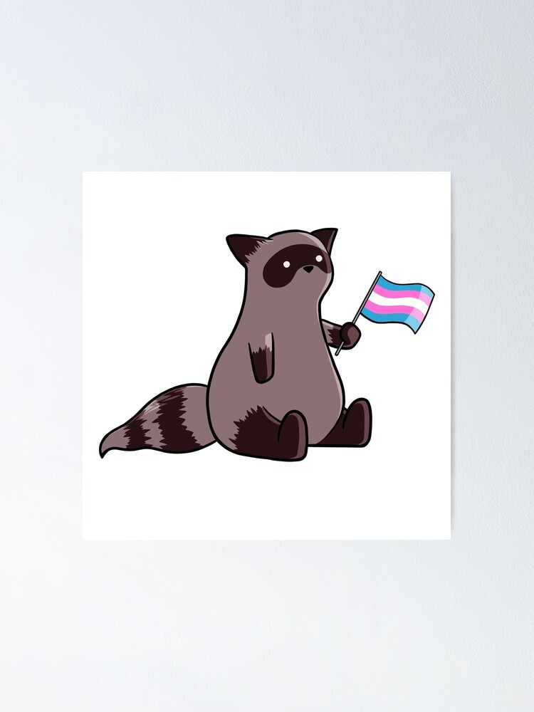 "Trans Pride Raccoon" Poster for Sale by imnotmadison | Redbubble