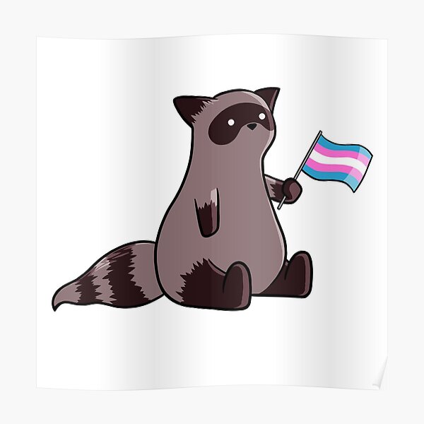 "Trans Pride Raccoon" Poster for Sale by imnotmadison | Redbubble