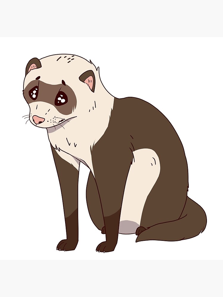 "Sad Ferret" Poster by FoxinuhhBox | Redbubble