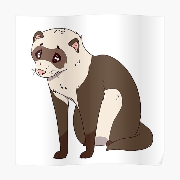 "Sad Ferret" Poster by FoxinuhhBox | Redbubble