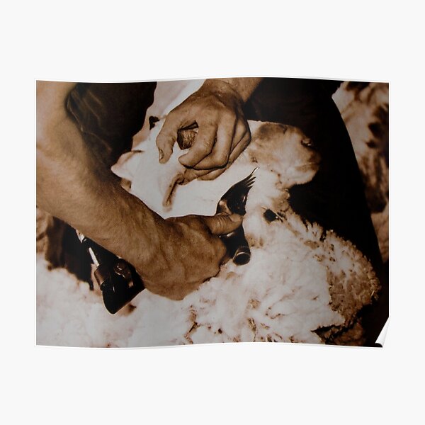 "Top Gun Shearer" Poster for Sale by ponchkabibel | Redbubble