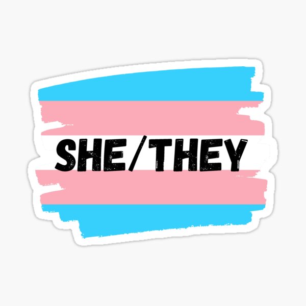 "trans flag single she they pronoun sticker" Sticker for Sale by ...