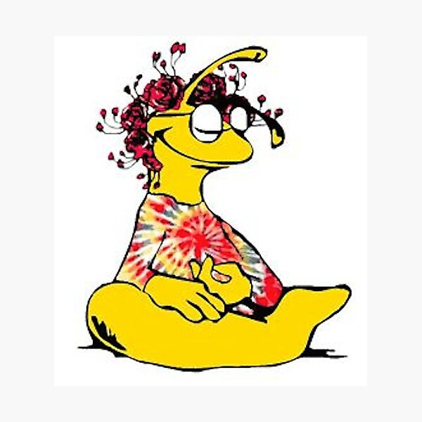 "Grateful Slug" Photographic Print by amelrose | Redbubble