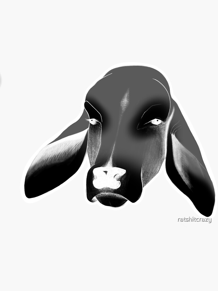 "Brahman Cow" Sticker for Sale by ratshitcrazy | Redbubble