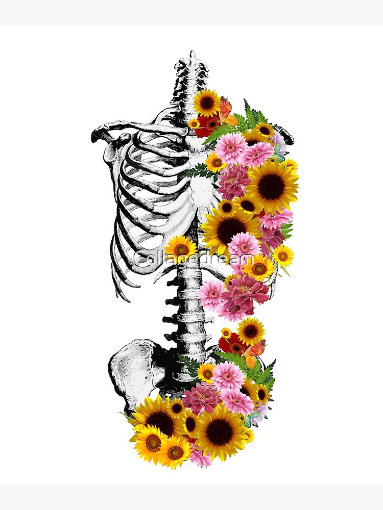 "Floral Botanical anatomy, rib cage, pelvis, sunflowers, daisy ...