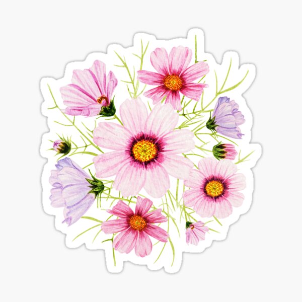 "Cosmos Flowers" Sticker by JooyaArt | Redbubble