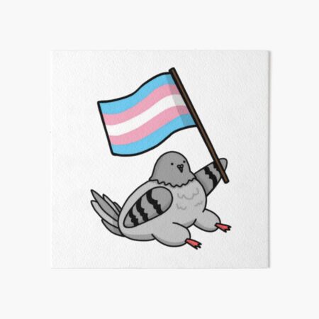 "Trans pride flag pigeon" Art Board Print for Sale by PigeonLouis ...