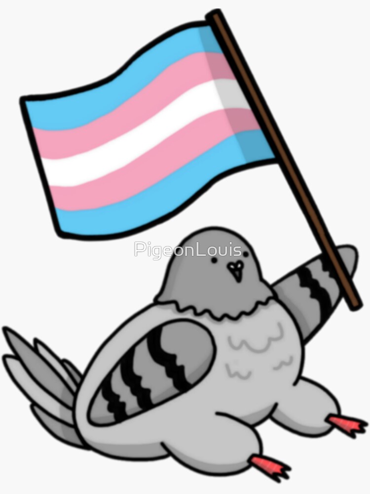 "Trans pride flag pigeon" Sticker for Sale by PigeonLouis | Redbubble