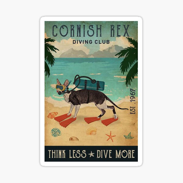 "Cornish Rex cat gift Vintage Diving Club" Sticker for Sale by Douglafa | Redbubble