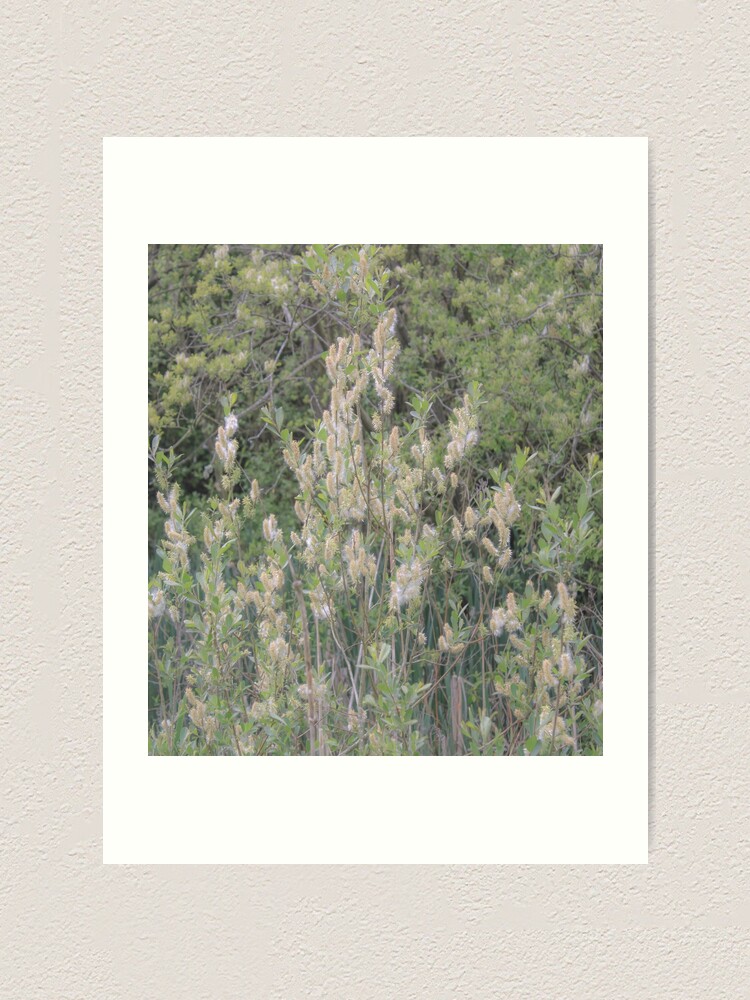 "Spring flower canopy" Art Print for Sale by teej-designs | Redbubble