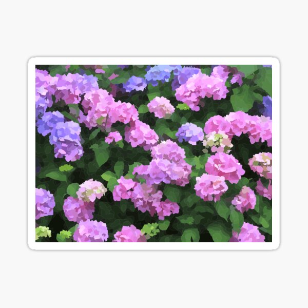 "Hydrangea Flower Digital Art" Sticker for Sale by happyshop4you ...