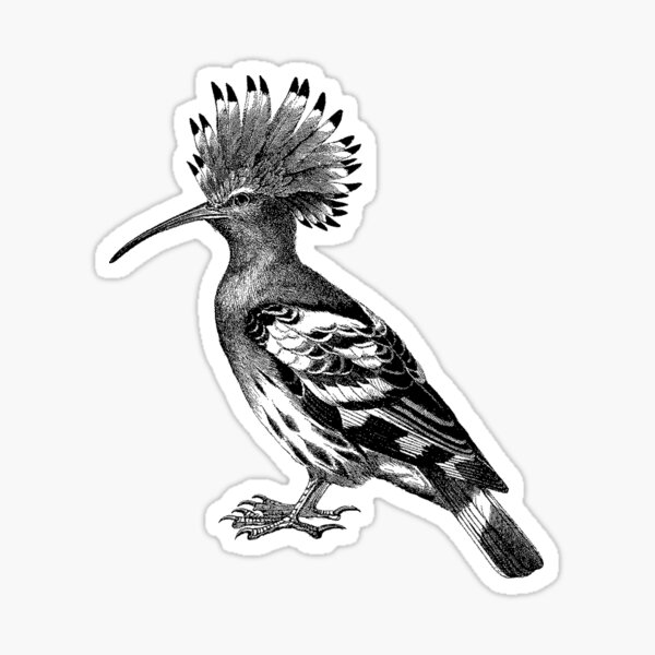 "Familia MoFo " Sticker by Quill-n-Ink | Redbubble