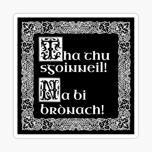 "Tha thu sgoinneil! Na bi brònach! - Scottish Gaelic" Sticker for Sale ...