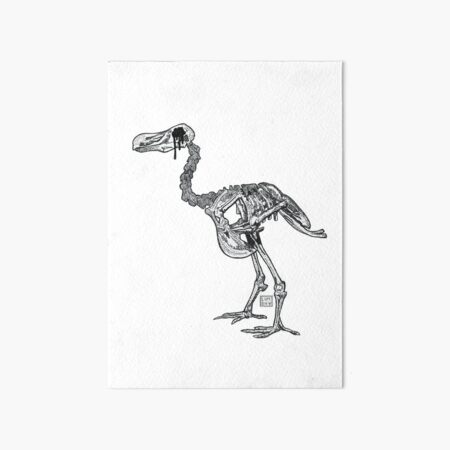 "DODO SKELETON" Art Board Print for Sale by Shall1983 | Redbubble