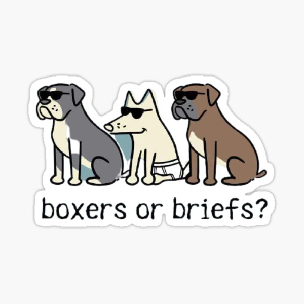 "Meme dog cute dog pretty dog dog design music dog doctor design. Swag ...