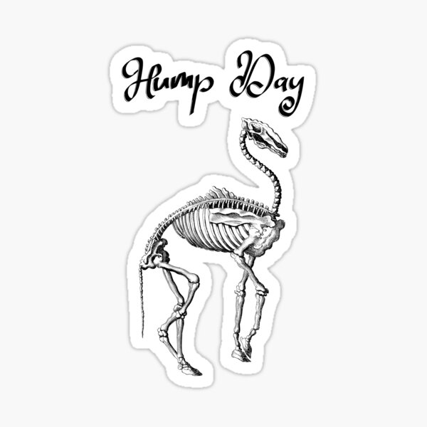 "Hump Day" Sticker for Sale by SerpentAndSage | Redbubble