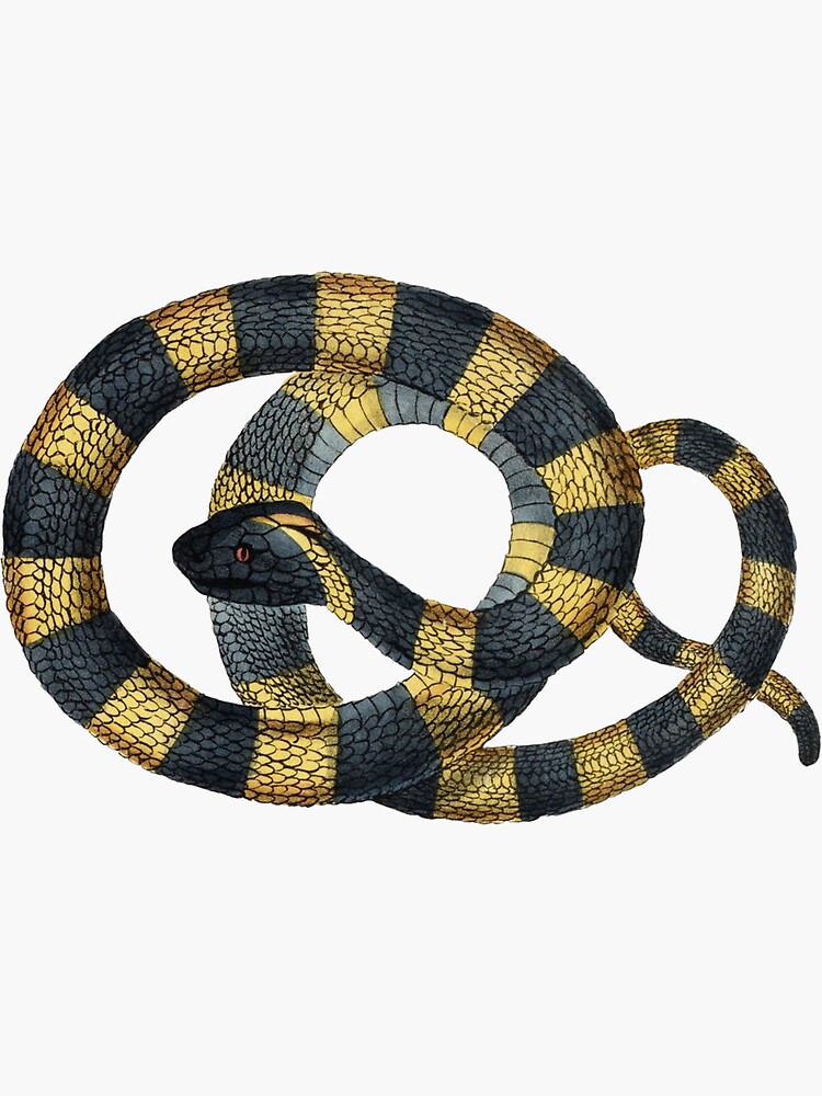 "Rare Golden snake Sticker" Sticker for Sale by kamarudheen | Redbubble