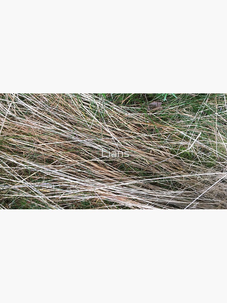 "Dry Hay Strands design" Sticker for Sale by Lians | Redbubble