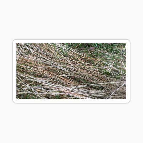 "Dry Hay Strands design" Sticker for Sale by Lians | Redbubble