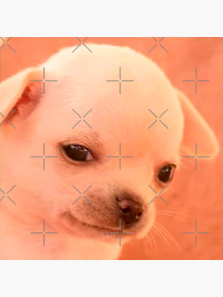 Póster «perrito meme aber di groserias» de valwerty | Redbubble