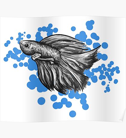 Betta Fish: Posters | Redbubble
