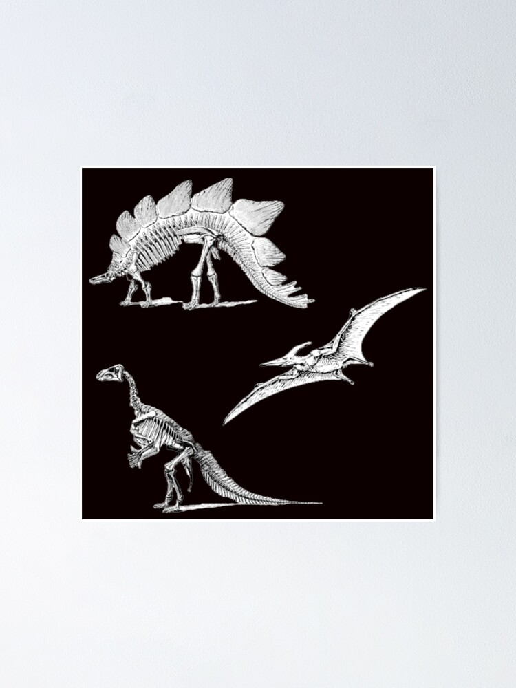 "Dinosaur fossils illustration sticker pack" Poster by WeMasha | Redbubble